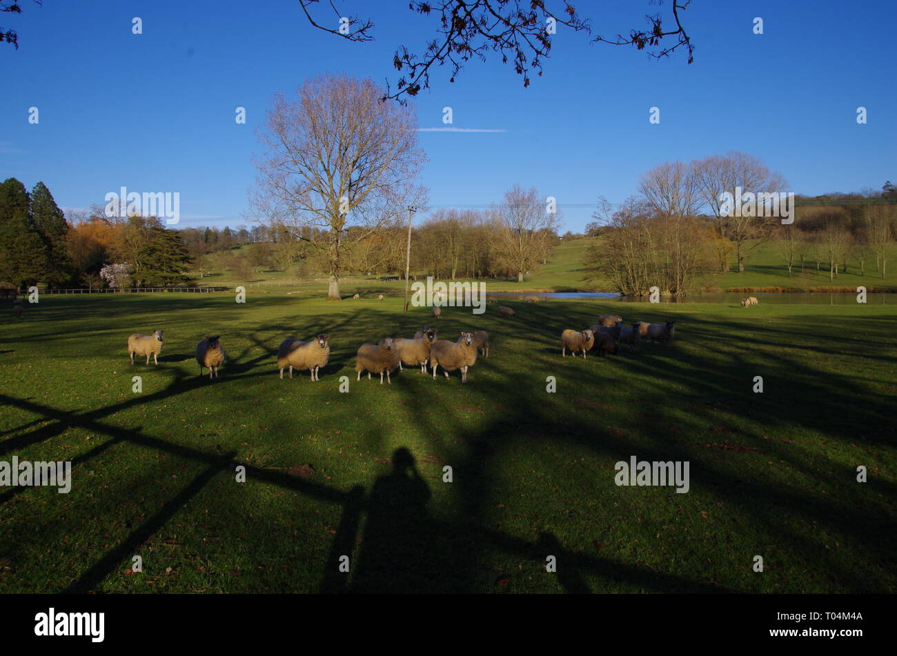 Lower Swell. he Donnington Way. Gloucestershire. Cotswolds. England. UK ...