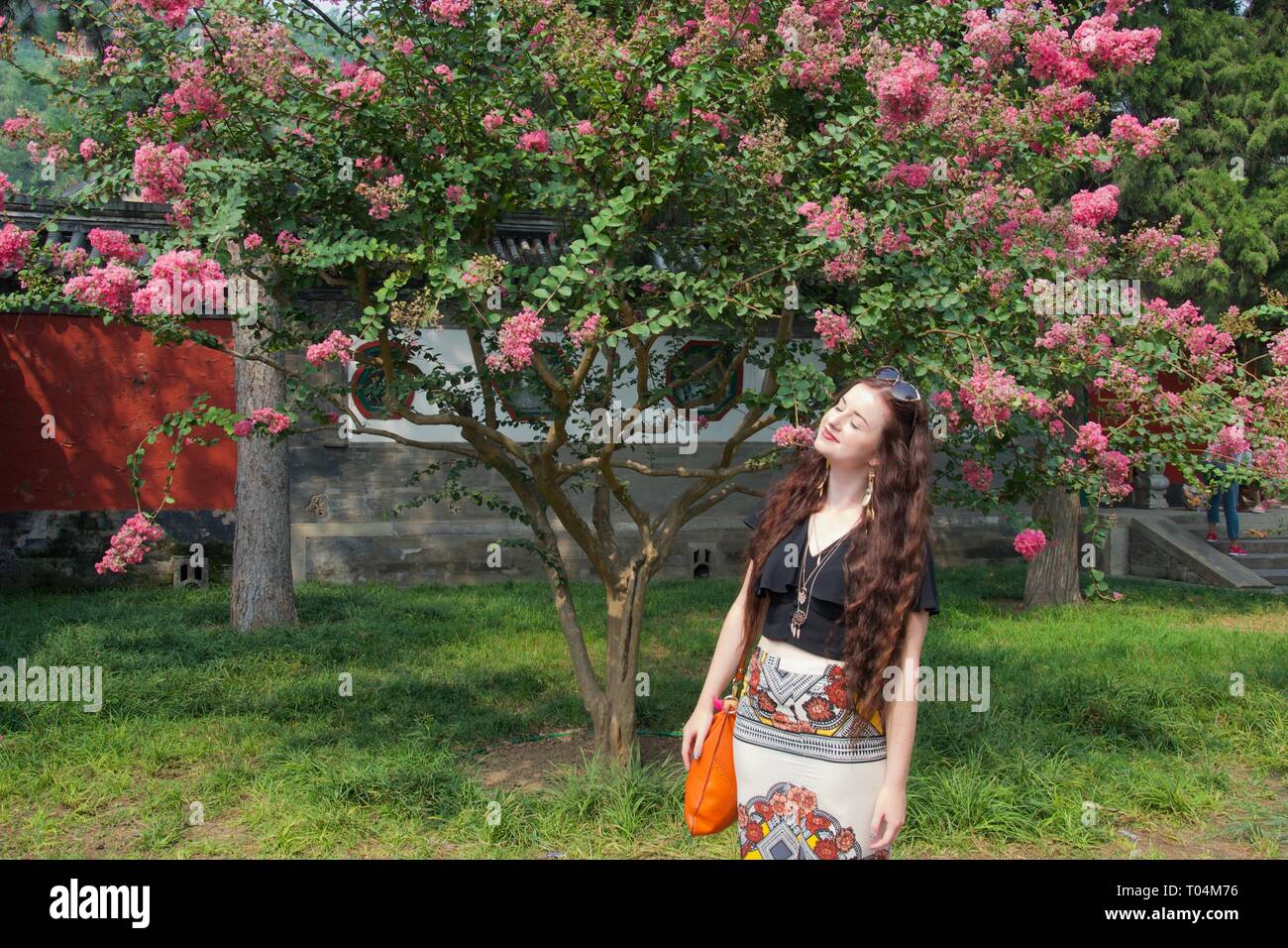 Lady tree hi-res stock photography and images - Alamy