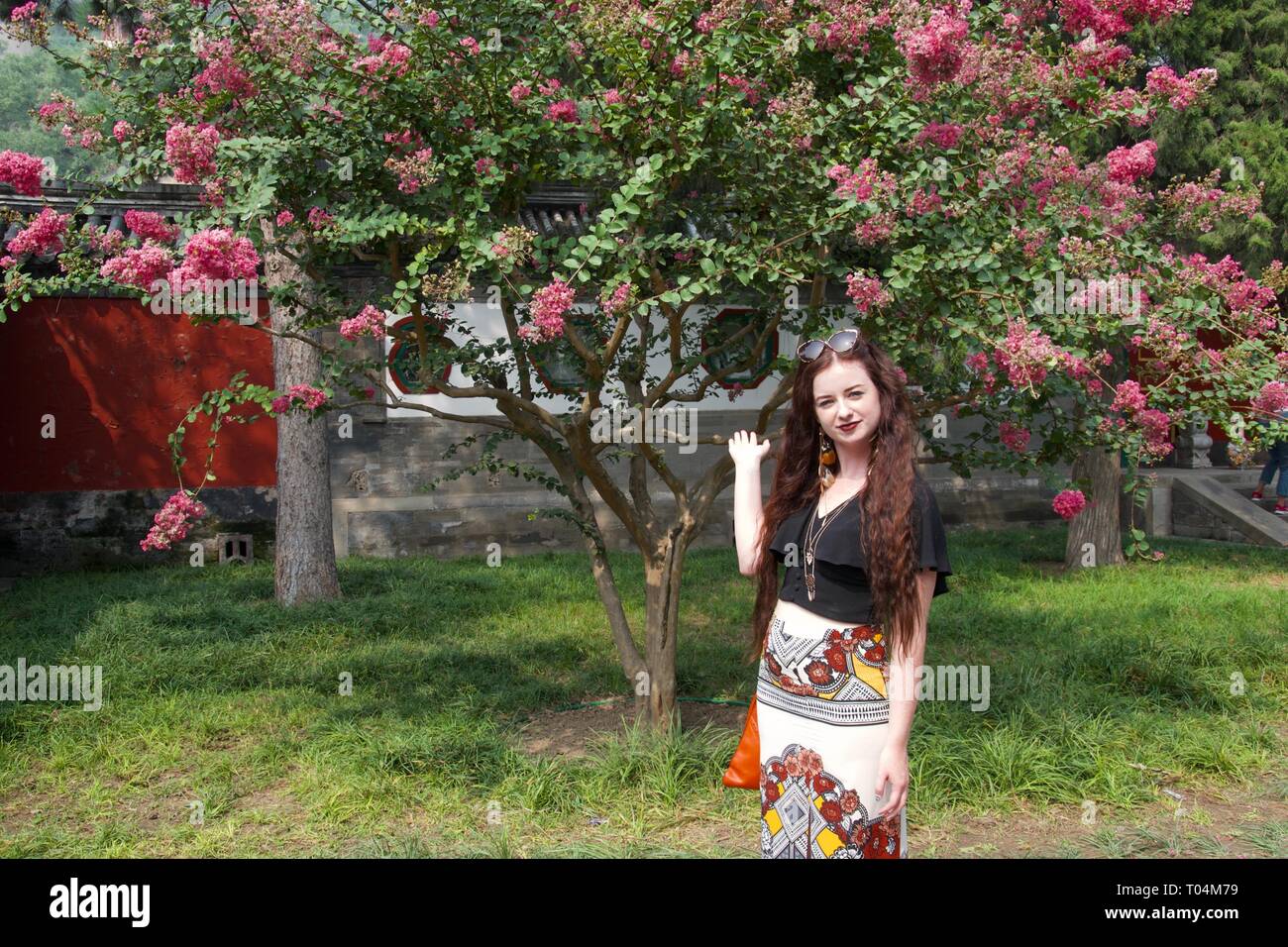 Lady tree hi-res stock photography and images - Alamy