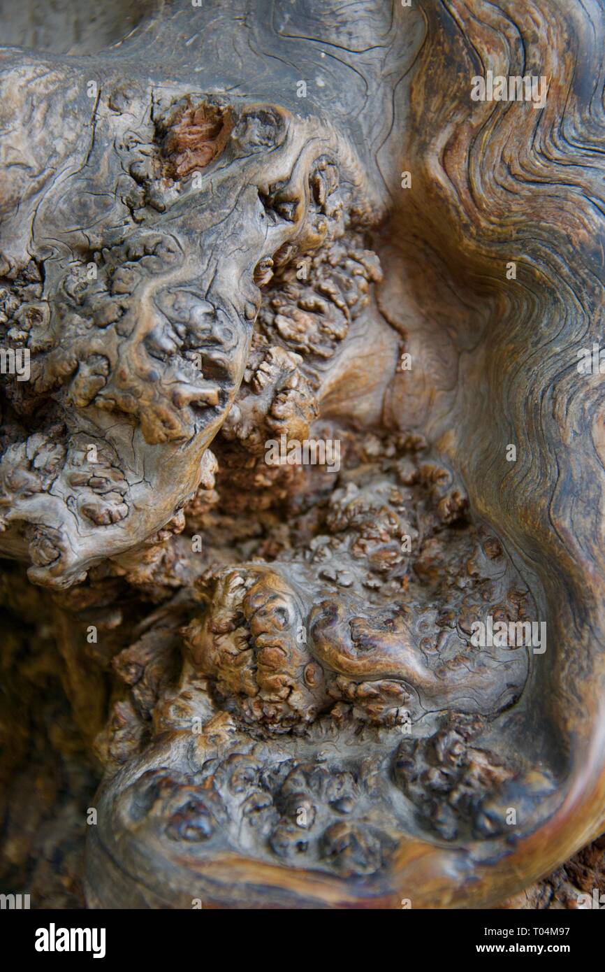 Lumps of wood hi-res stock photography and images - Alamy