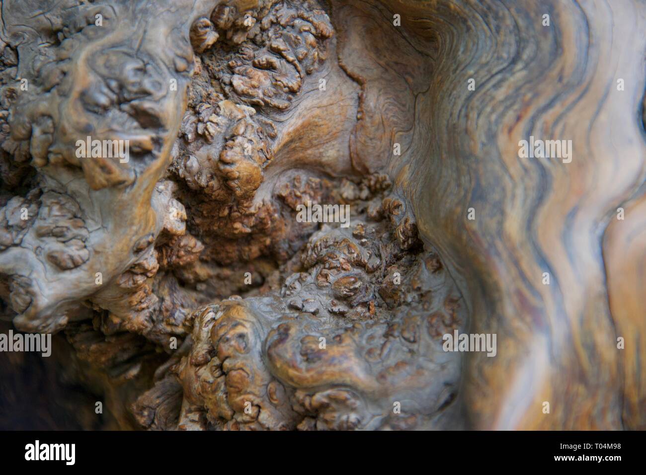 Lumps of wood hi-res stock photography and images - Alamy
