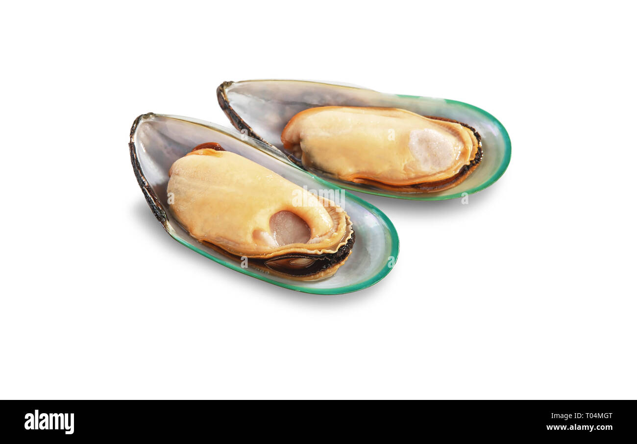 Two raw New Zealand mussels on shell isolated on white background Stock ...