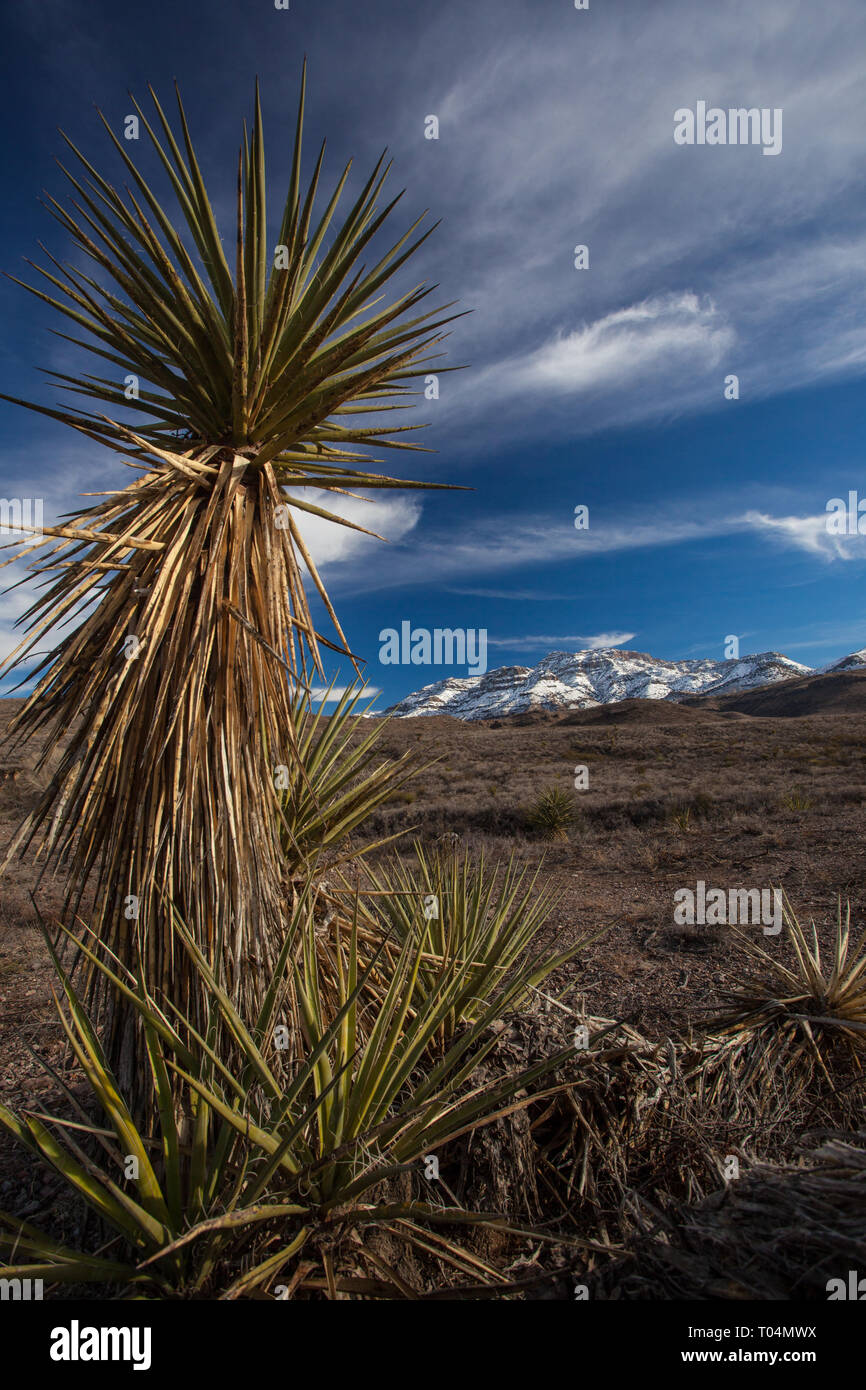 Candelaria texas hi-res stock photography and images - Alamy