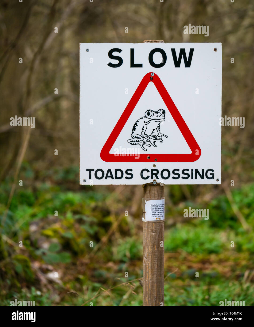 Sign crossing toads hi-res stock photography and images - Alamy