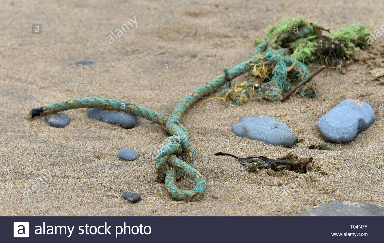 Seaweed On Rope Stock Photos & Seaweed On Rope Stock Images - Alamy