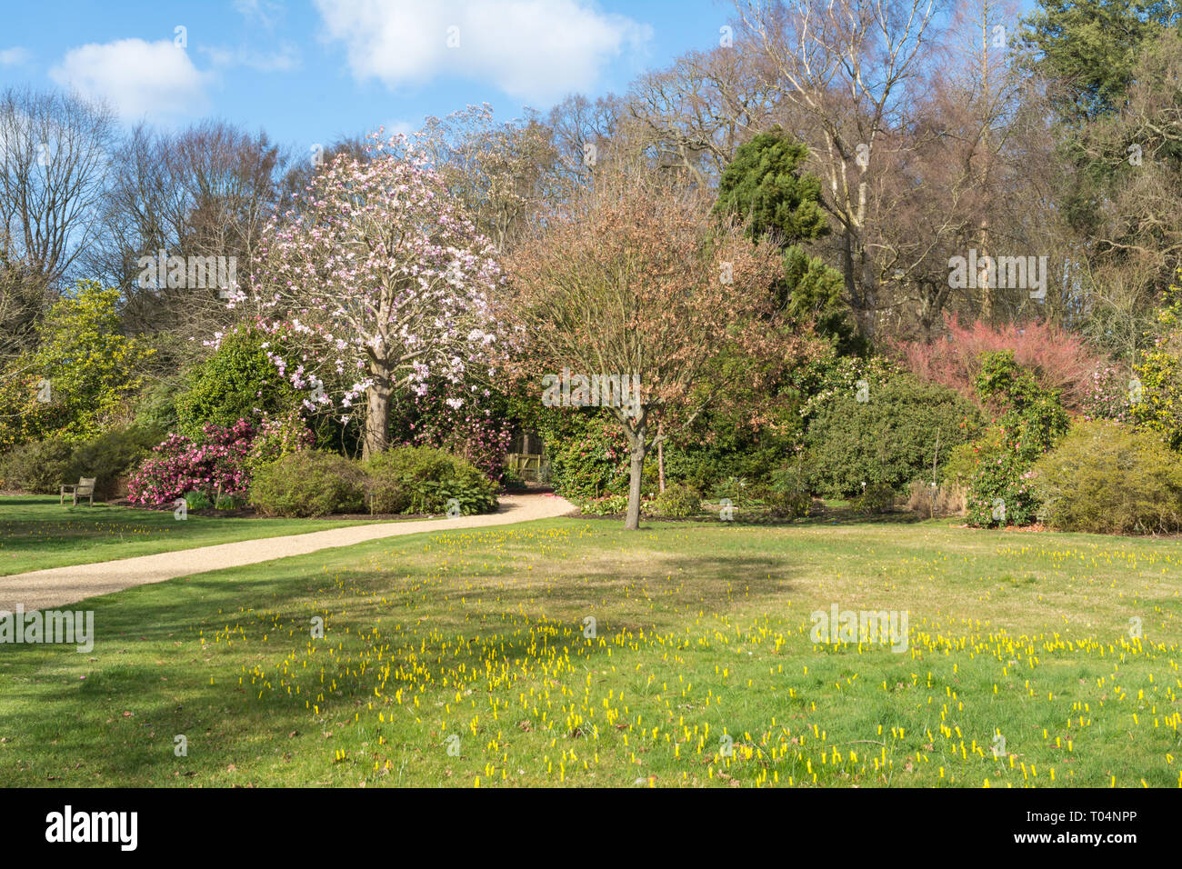 Spring garden hi-res stock photography and images - Alamy