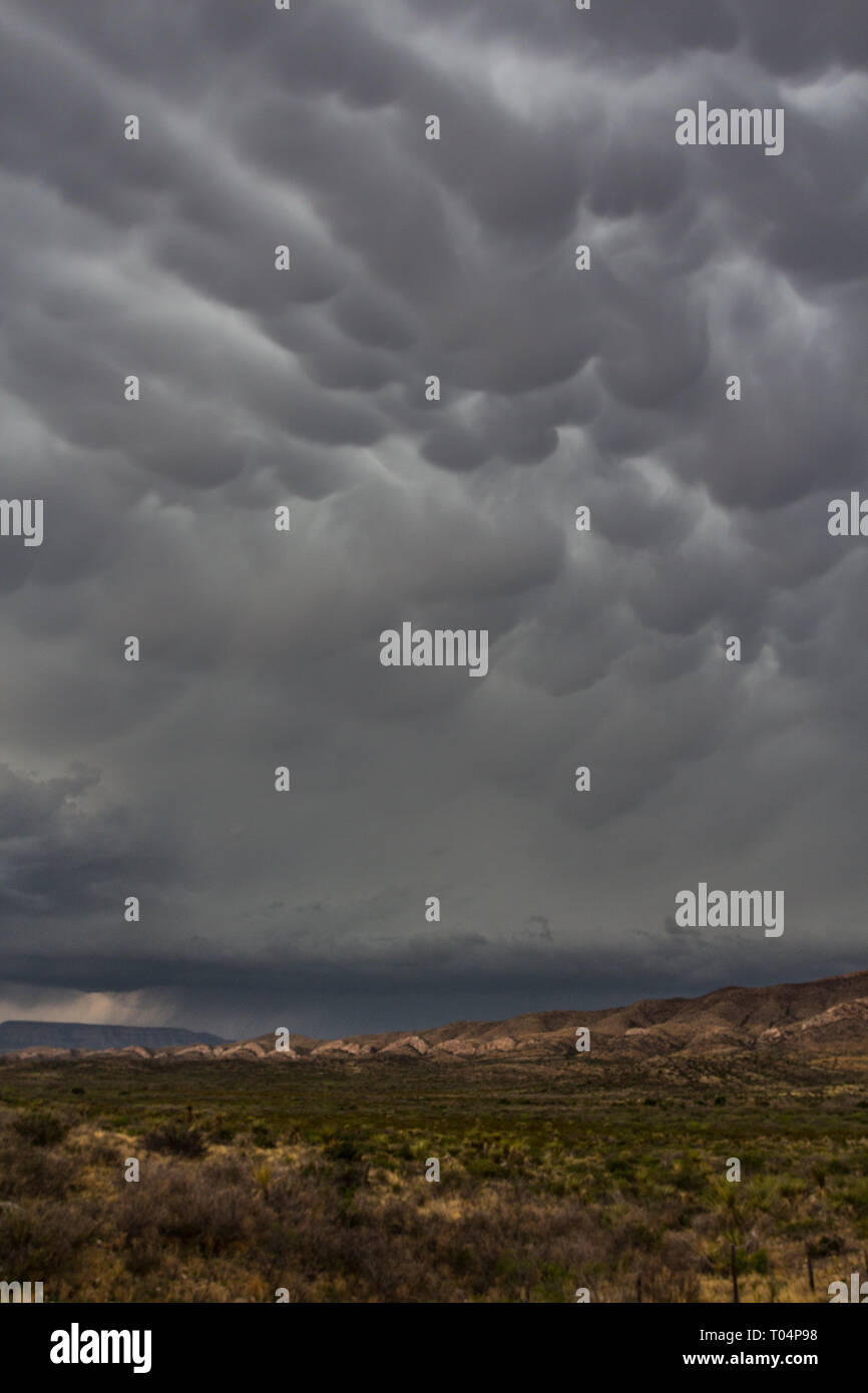 Marathon tx hi-res stock photography and images - Alamy