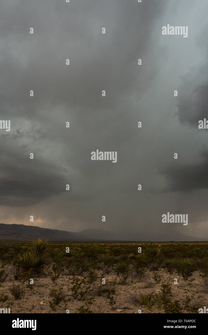 Big Bend National Park, Brewster County, Texas, USA Stock Photo - Alamy