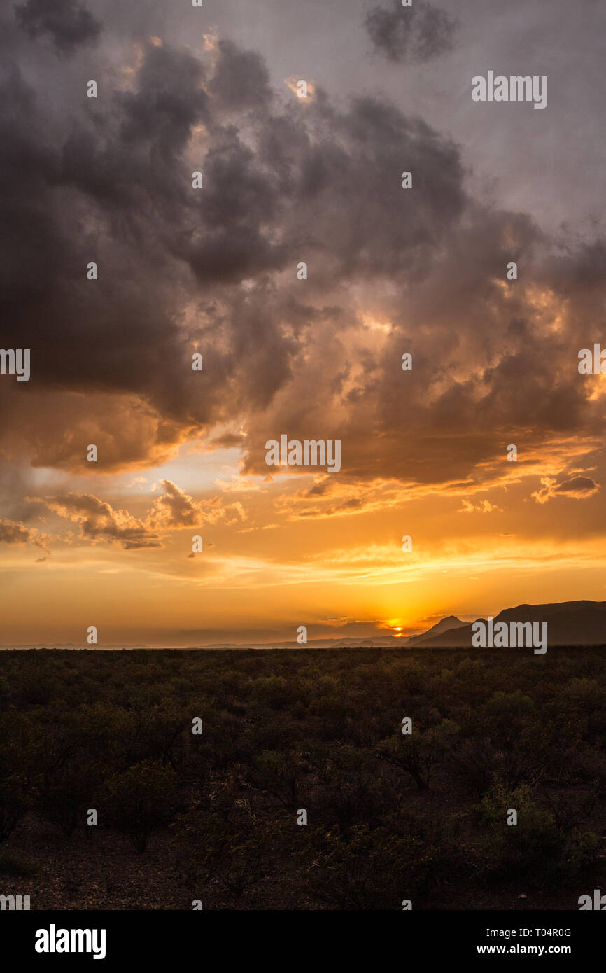 Big Bend National Park, Brewster County, Texas, USA Stock Photo - Alamy