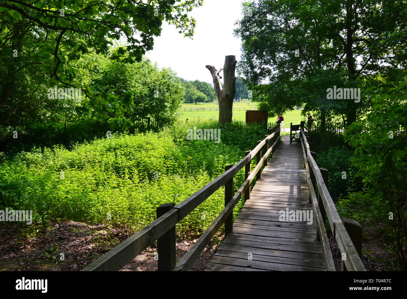 Wooden Bridge, walkway in Weald Country Park, South Weald, Brentwood ...