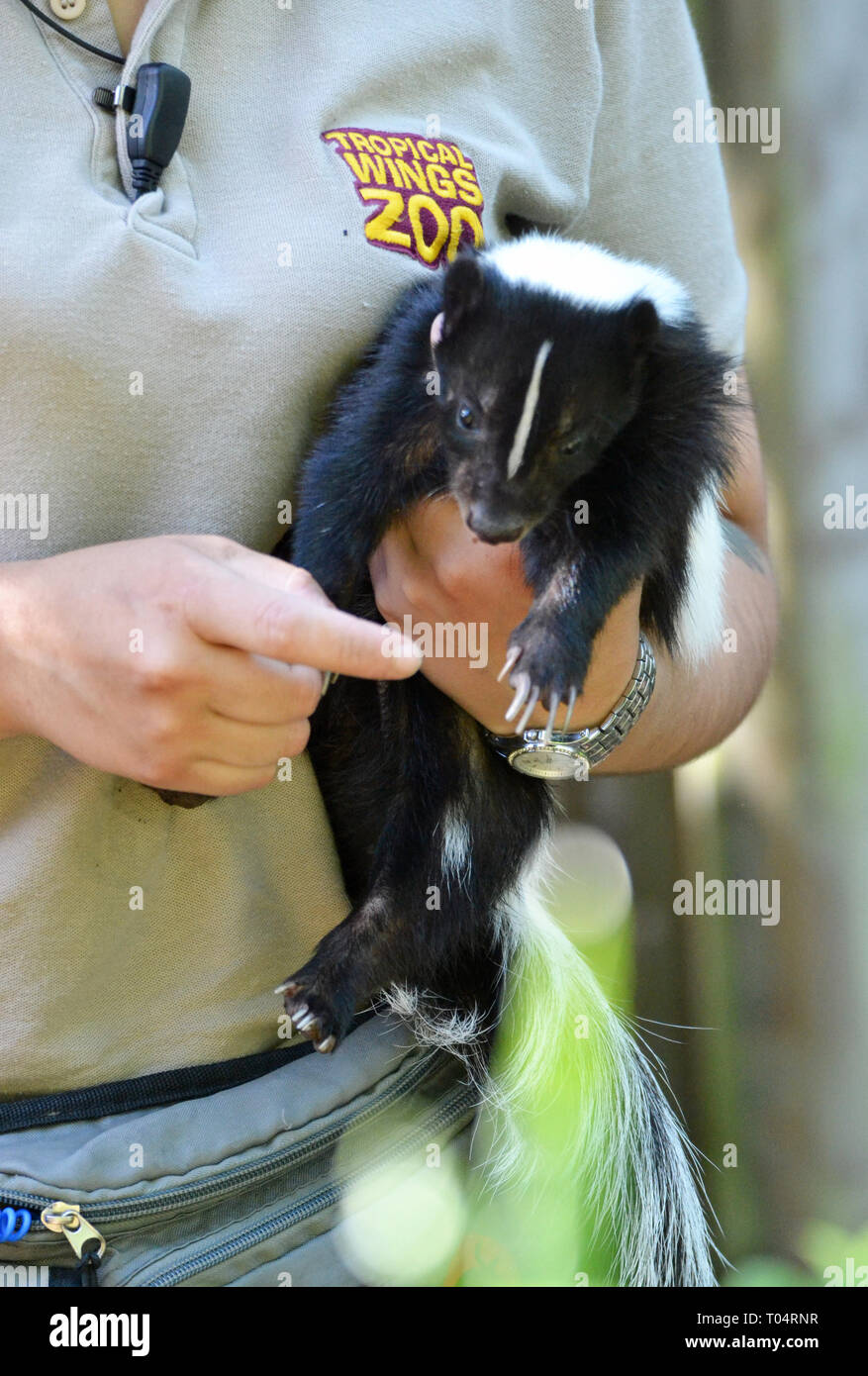 The ferrers arms hi-res stock photography and images - Alamy