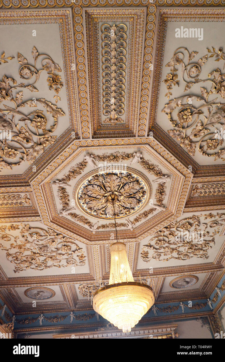 Ornate Ceiling Designs