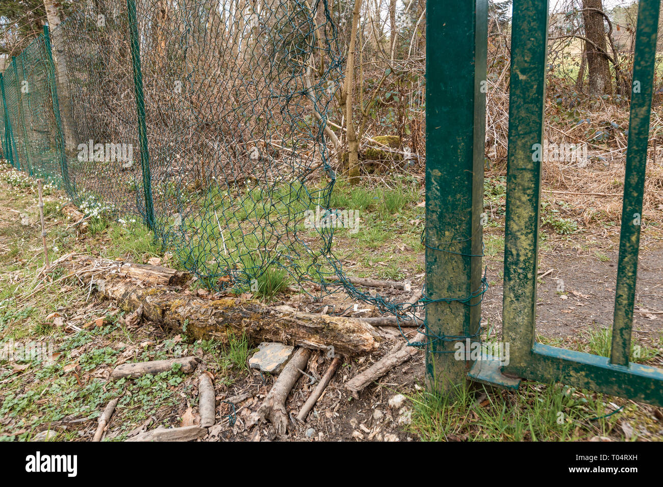 Broken chain link fence hi-res stock photography and images - Alamy