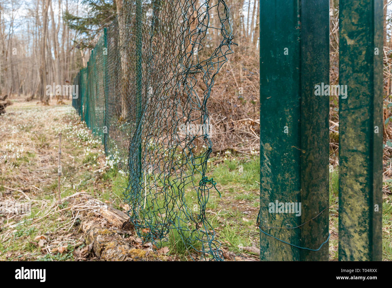 Broken chain link fence hi-res stock photography and images - Alamy