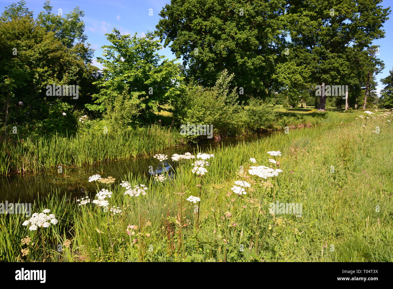 Hylands estate hi-res stock photography and images - Alamy