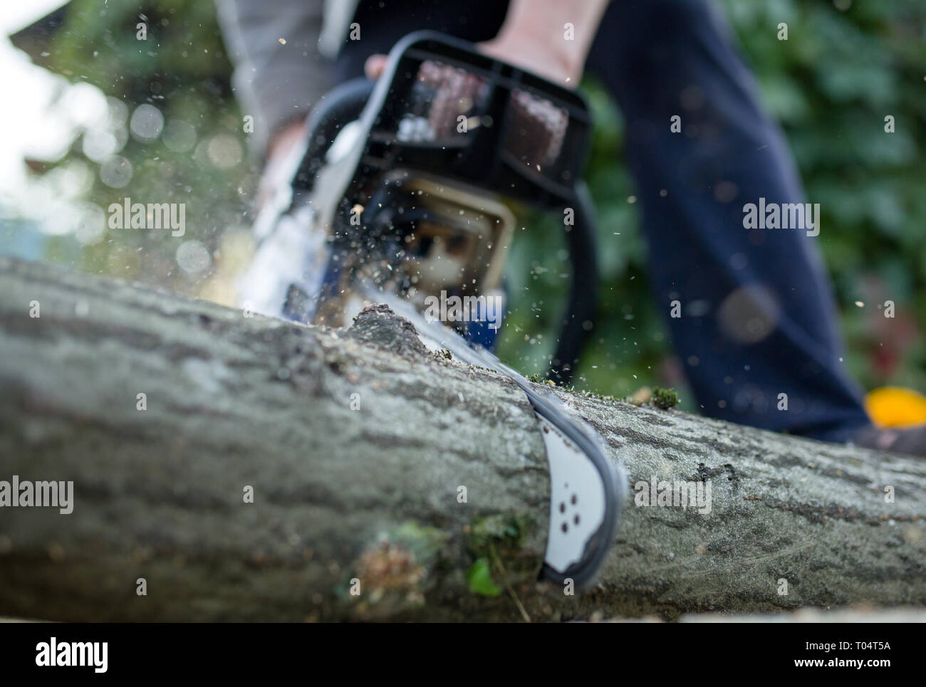 Log saws hi-res stock photography and images - Alamy