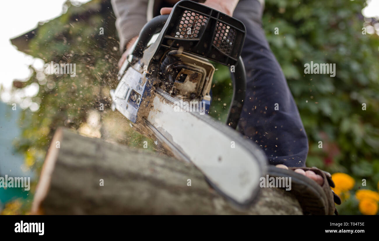 Log saws hi-res stock photography and images - Alamy