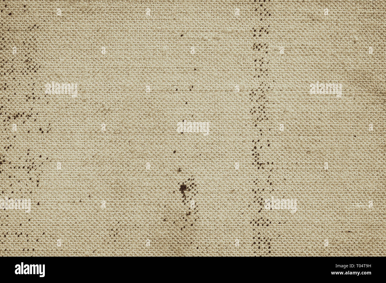 Texture of old, dirty and scratched book cover Stock Photo - Alamy