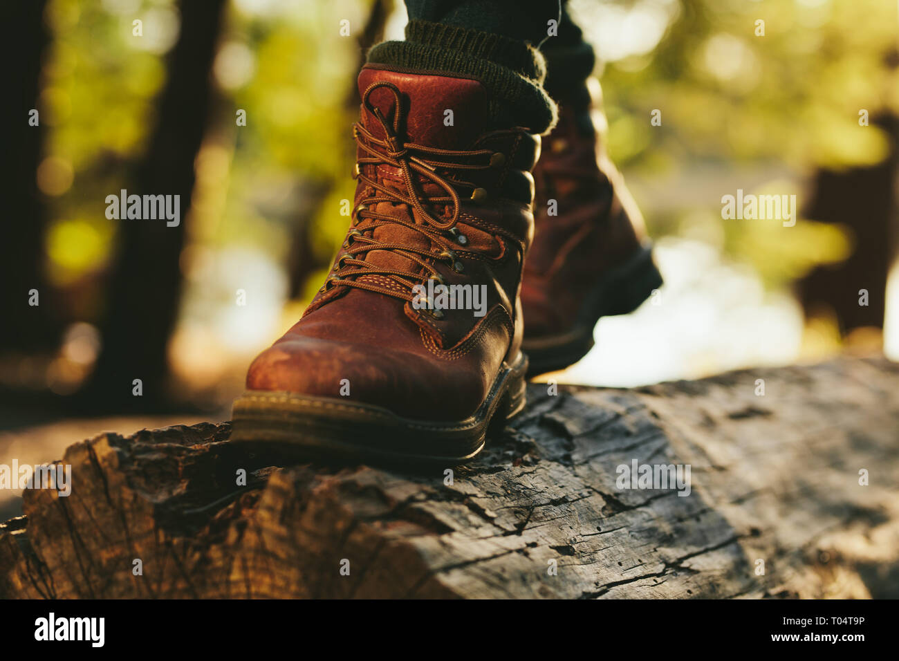 Tree trunk legs hi-res stock photography and images - Alamy