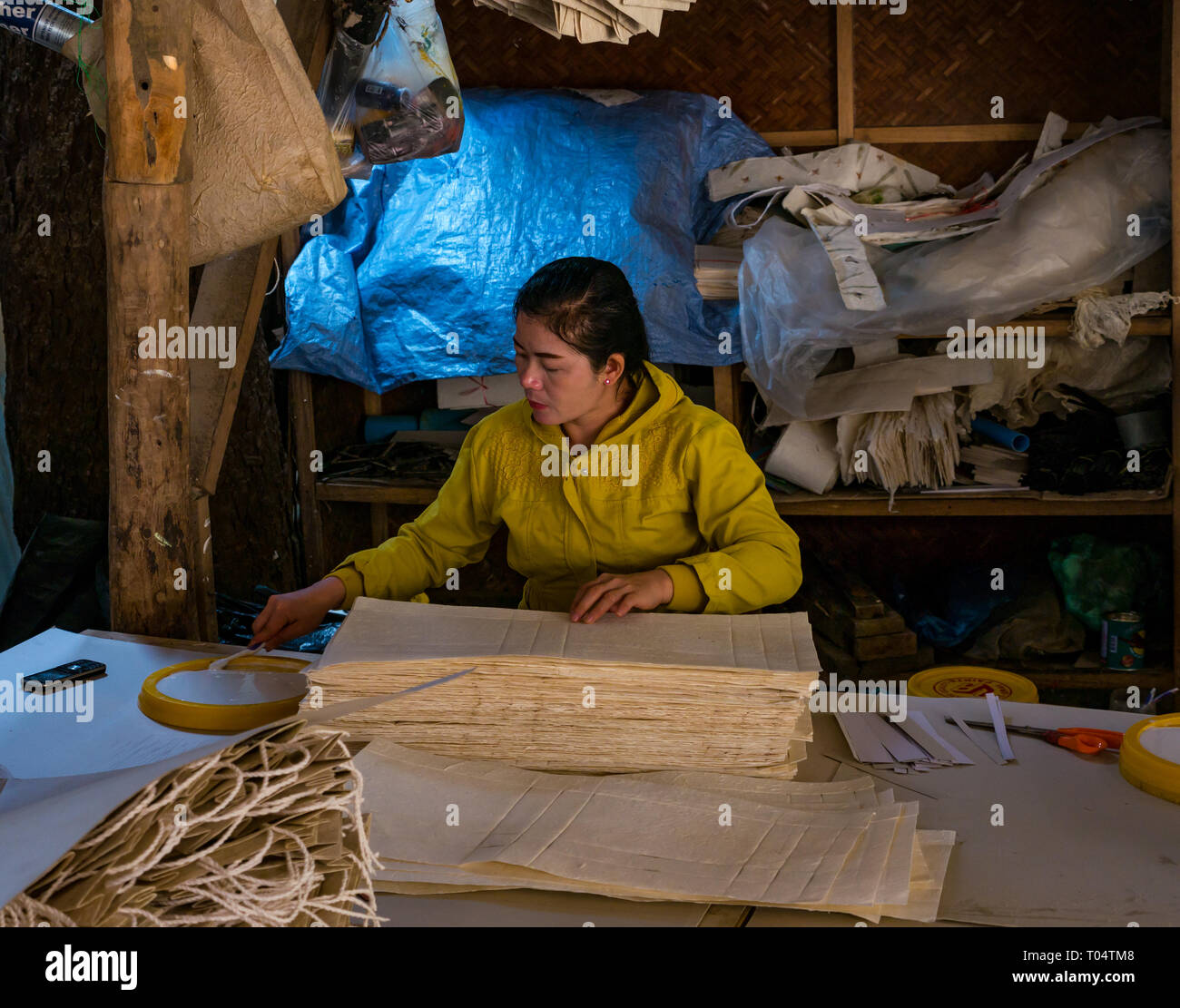 Paper mulberry hi-res stock photography and images - Alamy