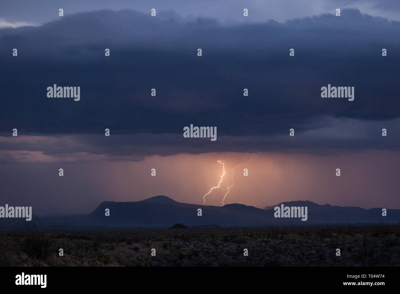 Big Bend National Park, Brewster County, Texas, USA Stock Photo - Alamy