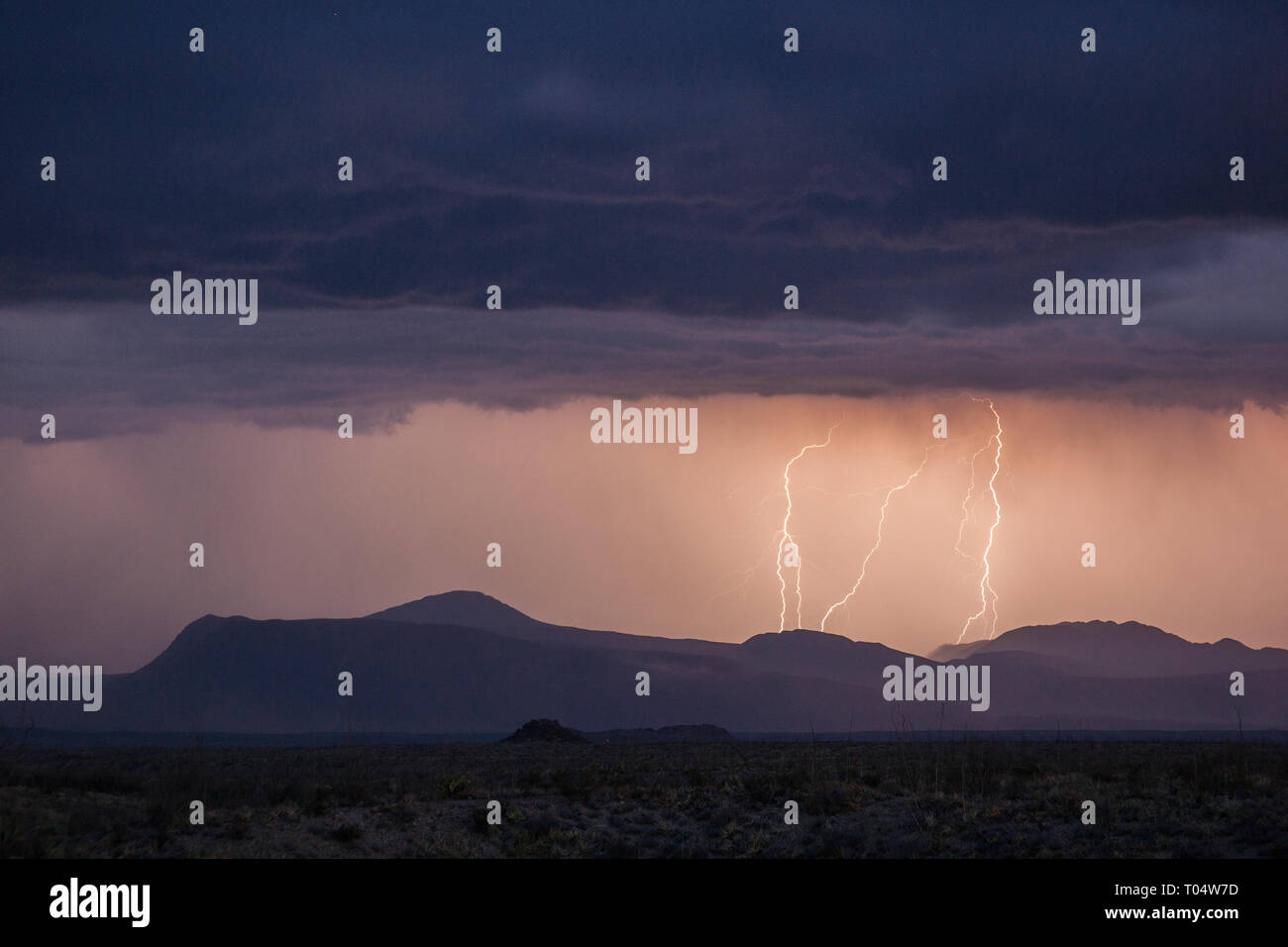Big Bend National Park, Brewster County, Texas, USA Stock Photo - Alamy