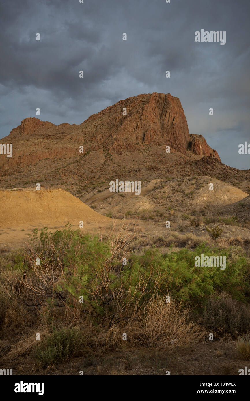Study butte texas hi-res stock photography and images - Alamy
