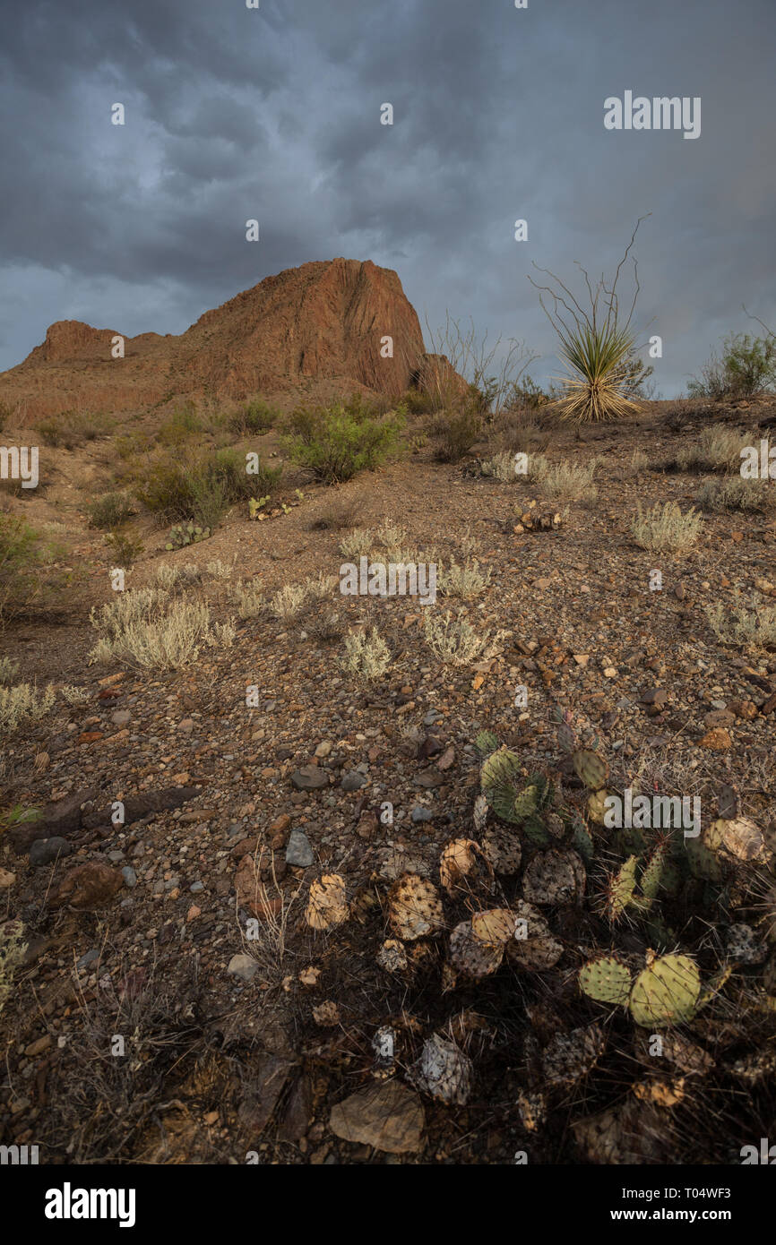 Study Butte, Brewster County, Texas, USA Stock Photo - Alamy