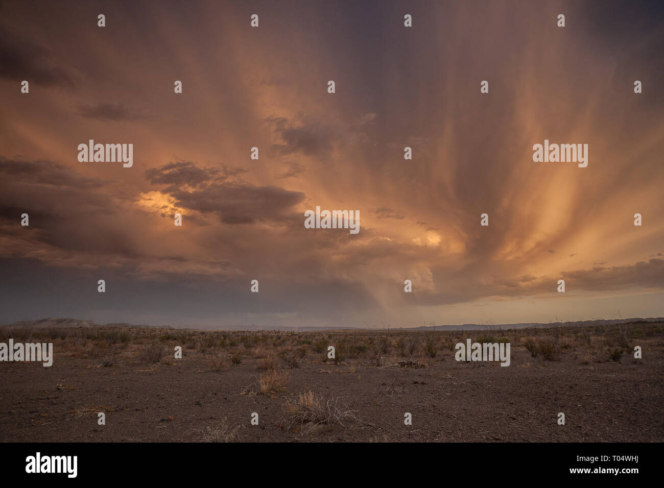 Terlingua, Brewster County, Texas, USA Stock Photo - Alamy