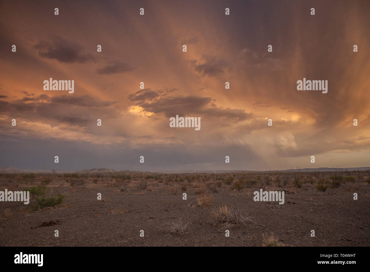 Terlingua, Brewster County, Texas, USA Stock Photo - Alamy