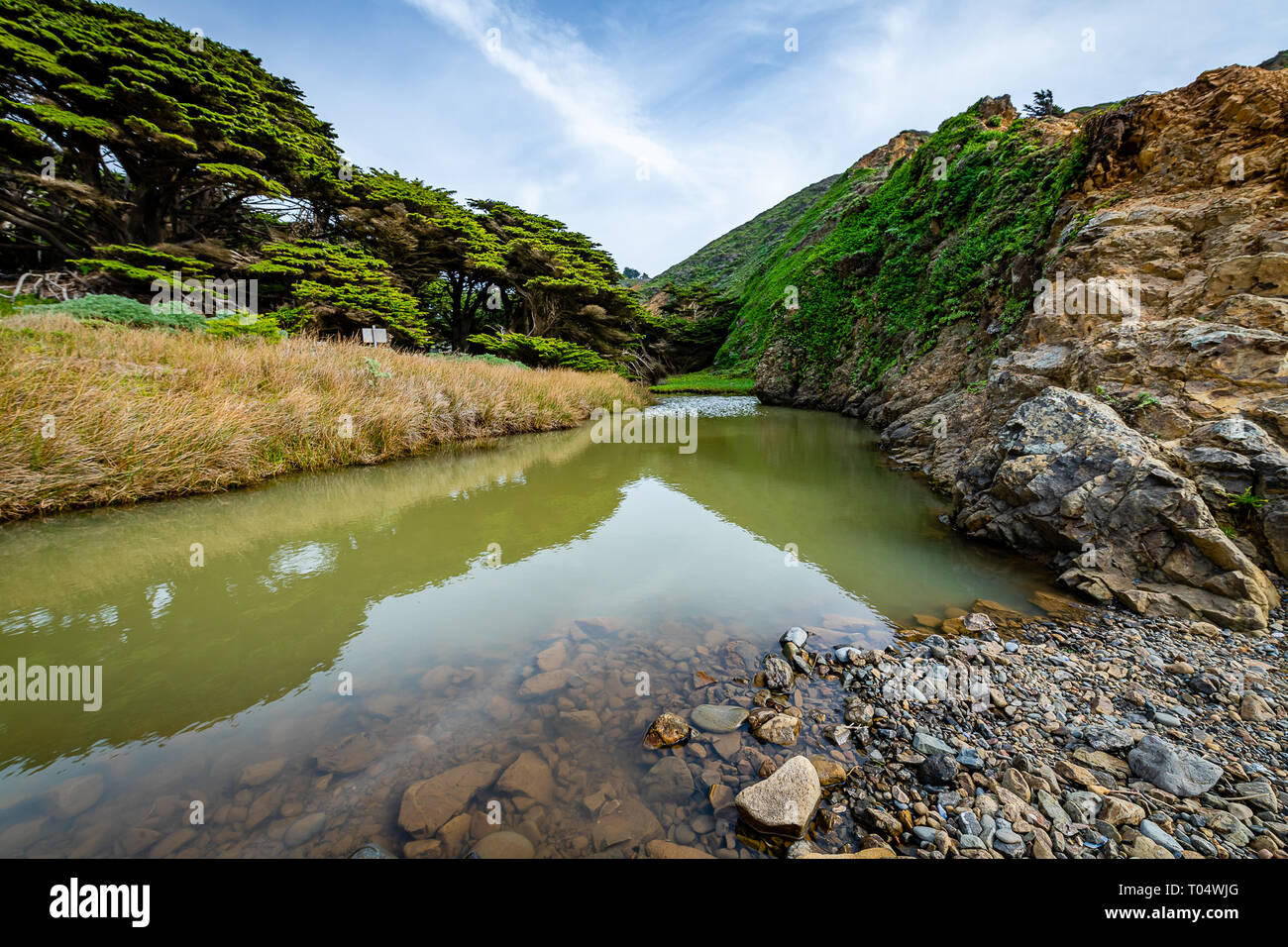 Pfeiffer beach rocks hi-res stock photography and images - Alamy
