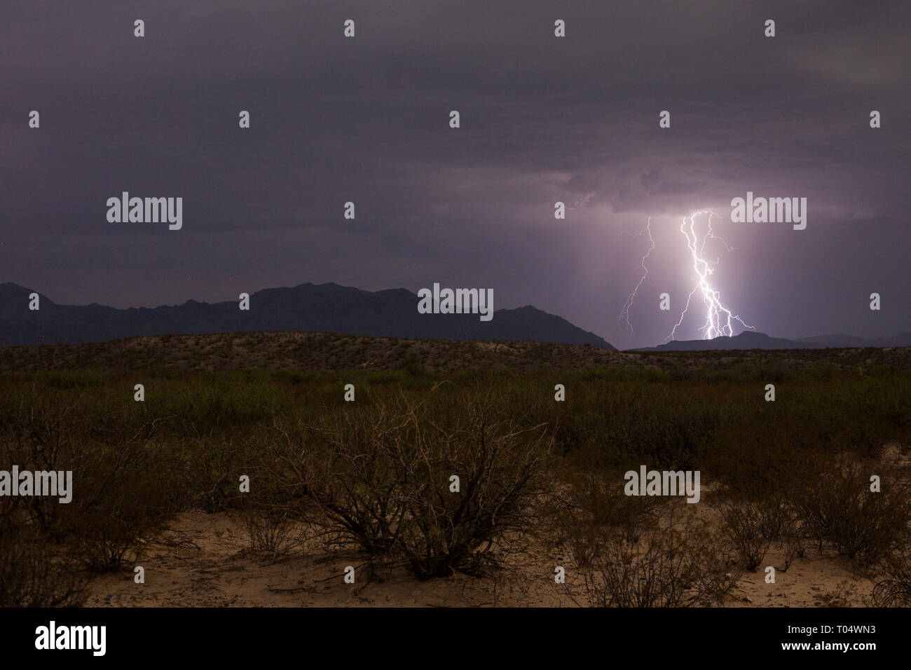 Quitman Mountains, Hudspeth County, Texas, USA Stock Photo - Alamy