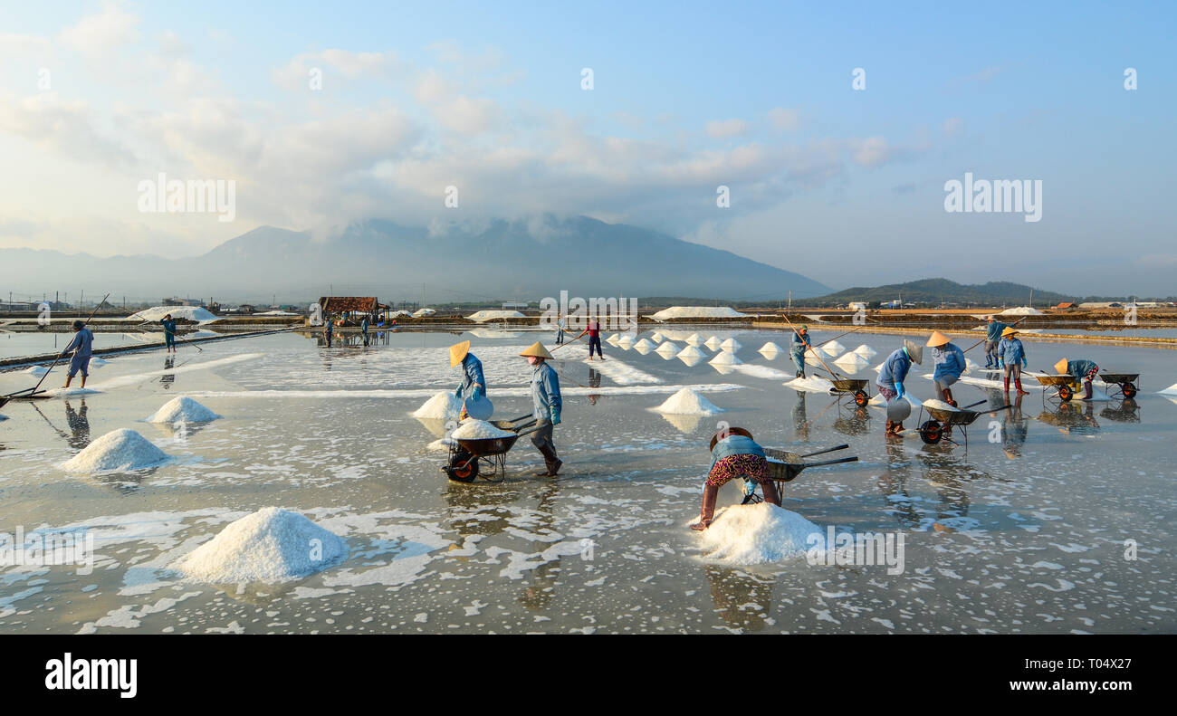 People working on salt field at summer in Nha Trang, Vietnam. Salt ...