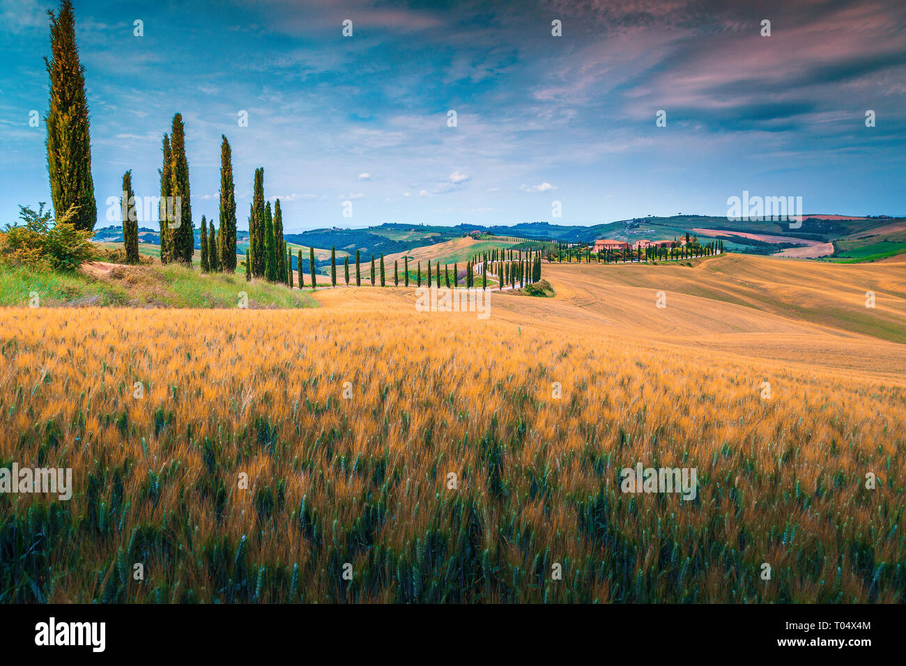 Stone house in field in siena hi-res stock photography and images - Alamy