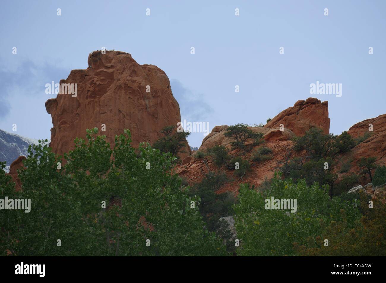 Different shapes of rock walls with trees and bushes at the Garden of ...