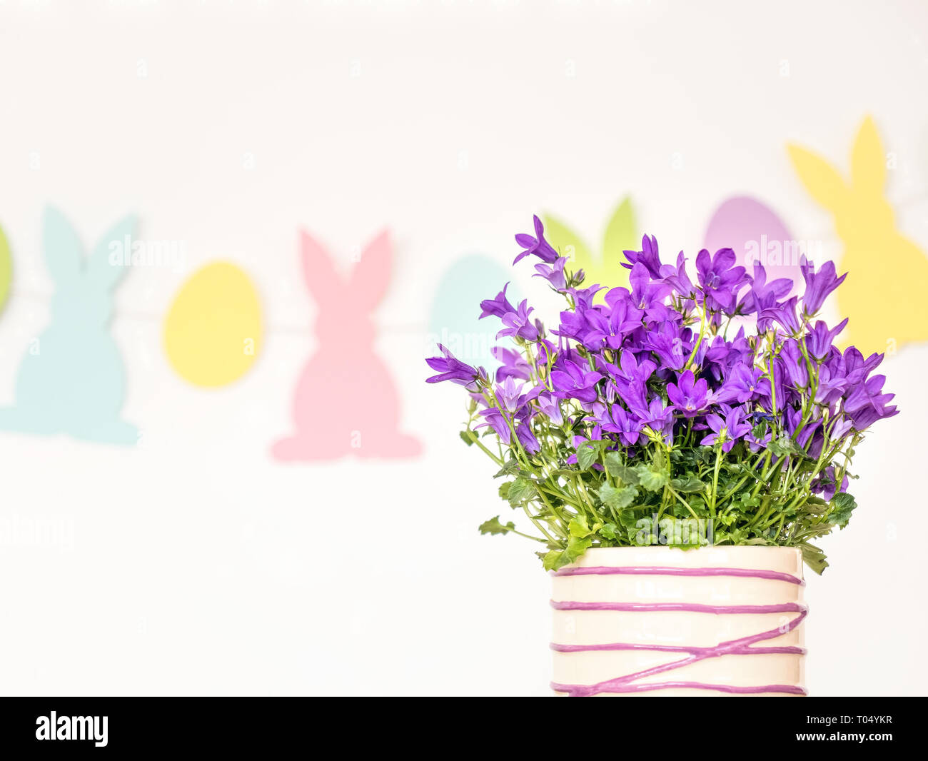 Easter background with spring flowers Stock Photo - Alamy