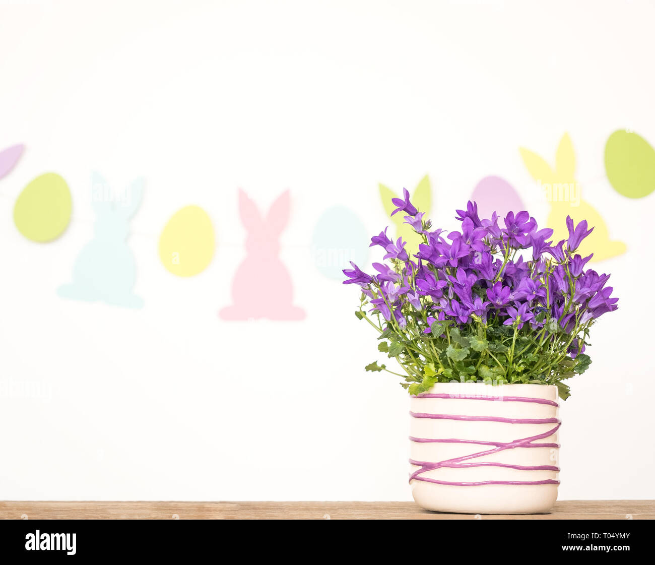 Easter background with spring flowers Stock Photo - Alamy