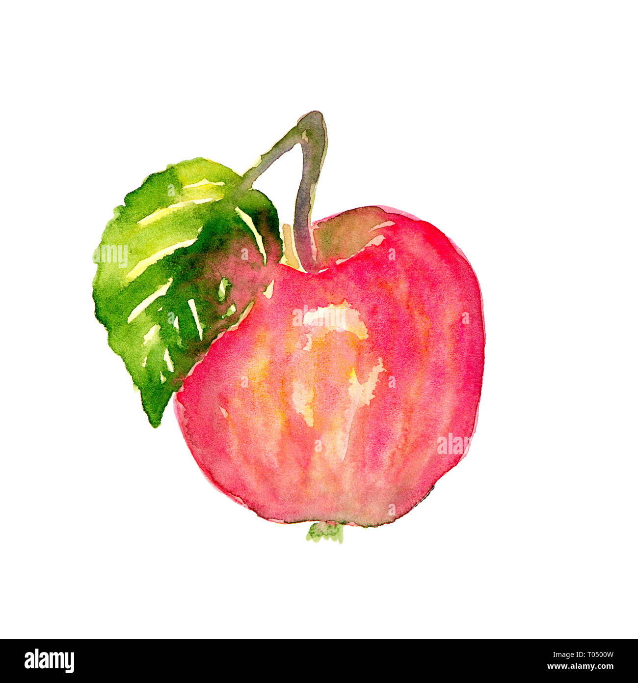 Juicy green apple watercolor Cut Out Stock Images & Pictures - Alamy