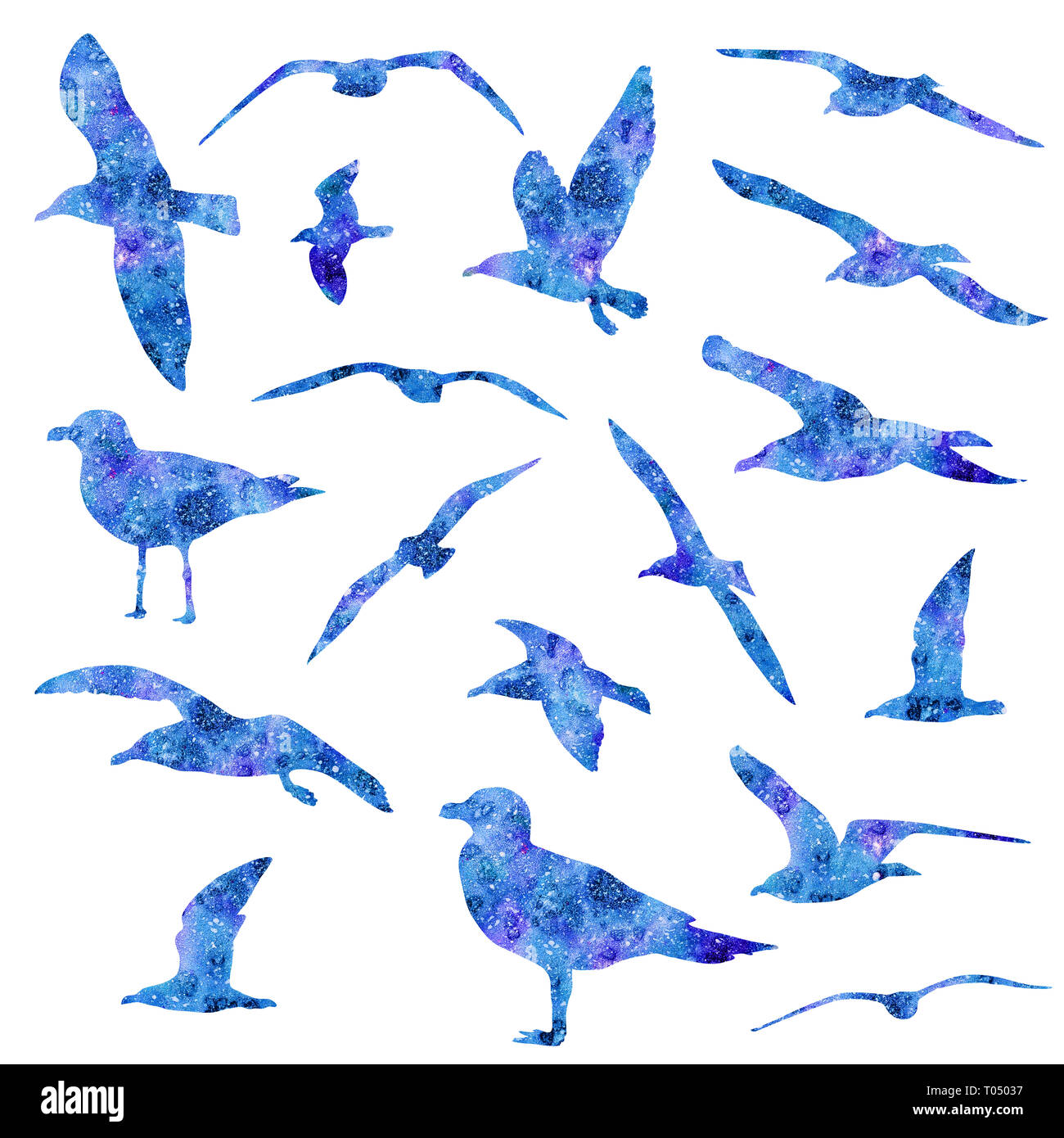 Gull wing shape hi-res stock photography and images - Alamy