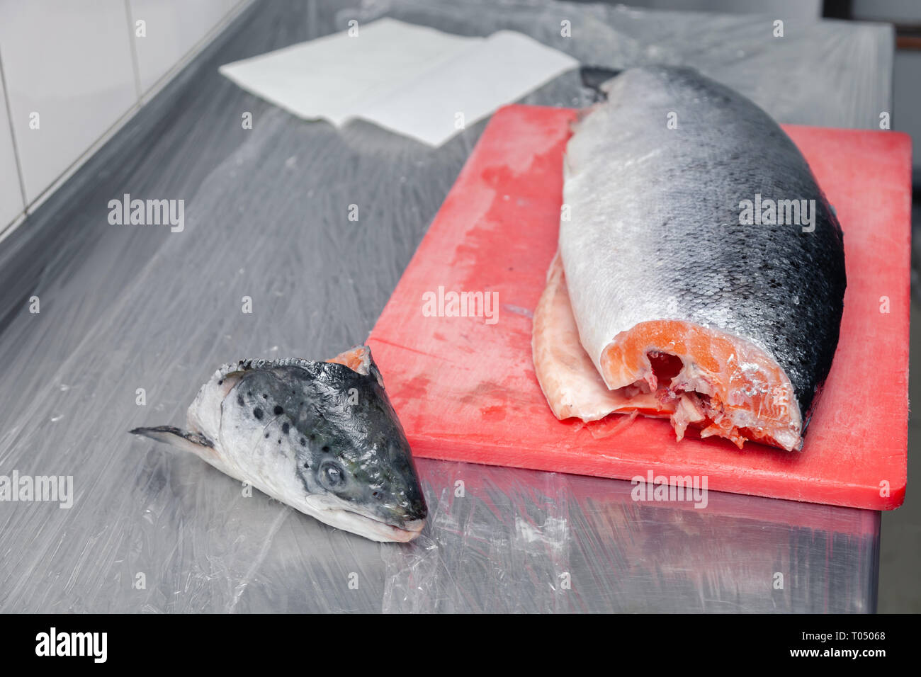 Closeup carving whole fresh norwegian salmon fish with heads on red ...