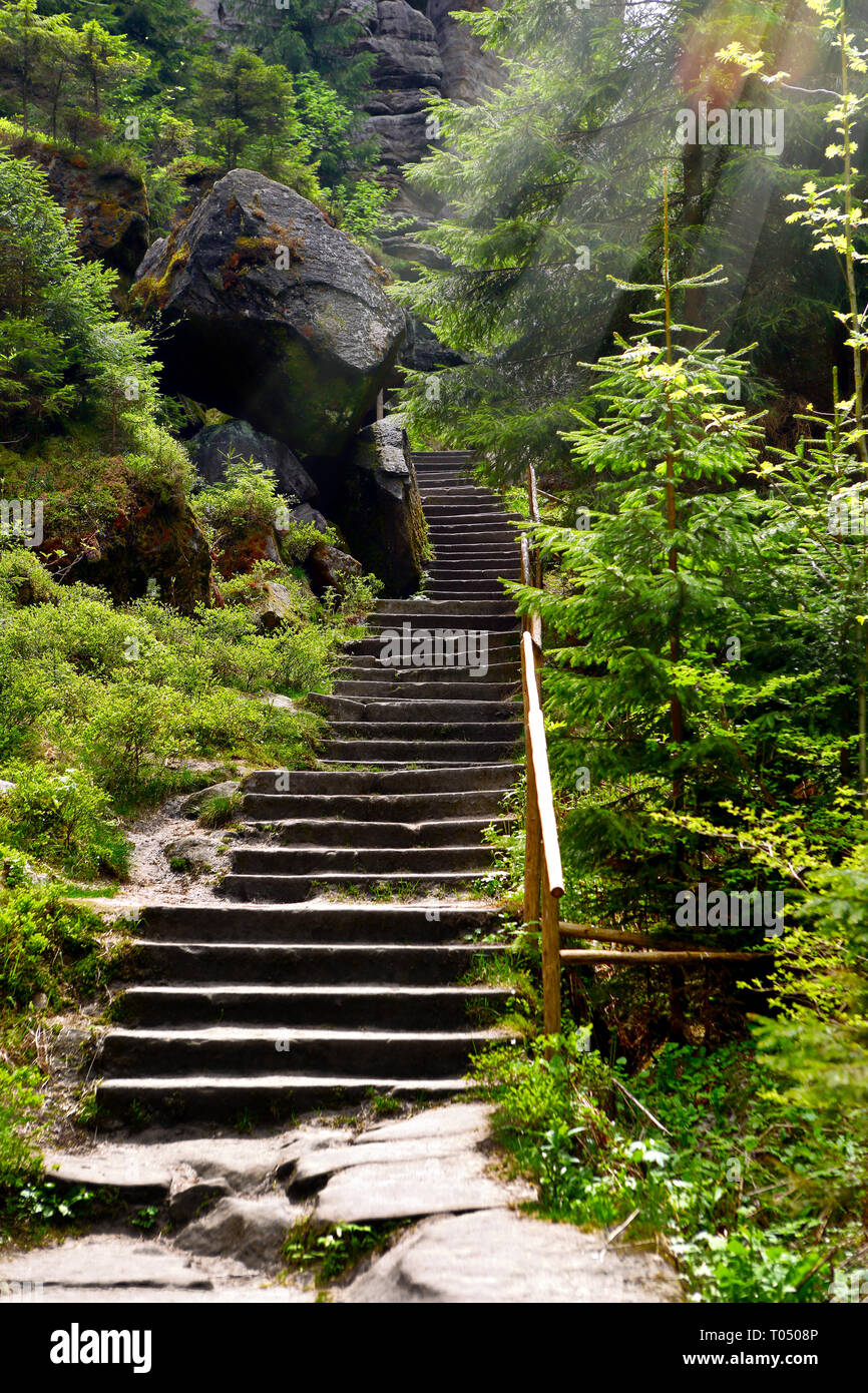 Empty mountain trail in green forest Stock Photo - Alamy