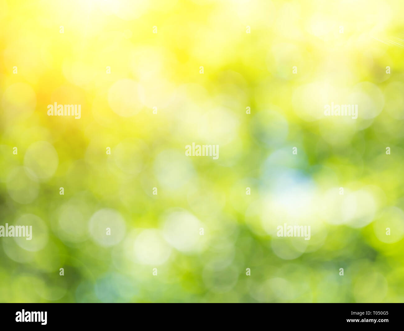 Green blured abstract background hi-res stock photography and images ...