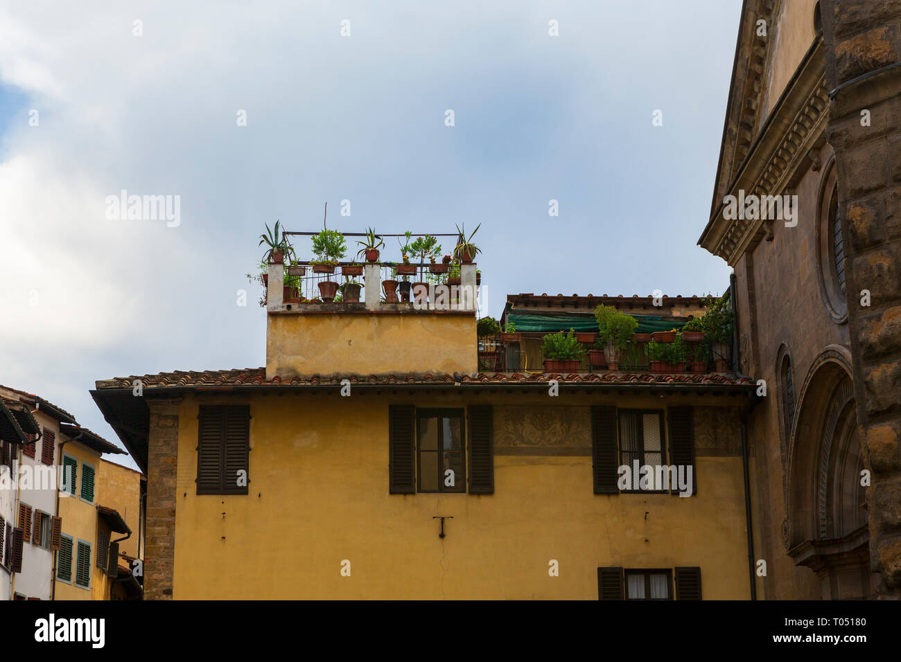 Rooftop, terra-cotta pot, container garden in Florence, Tuscany, Italy ...