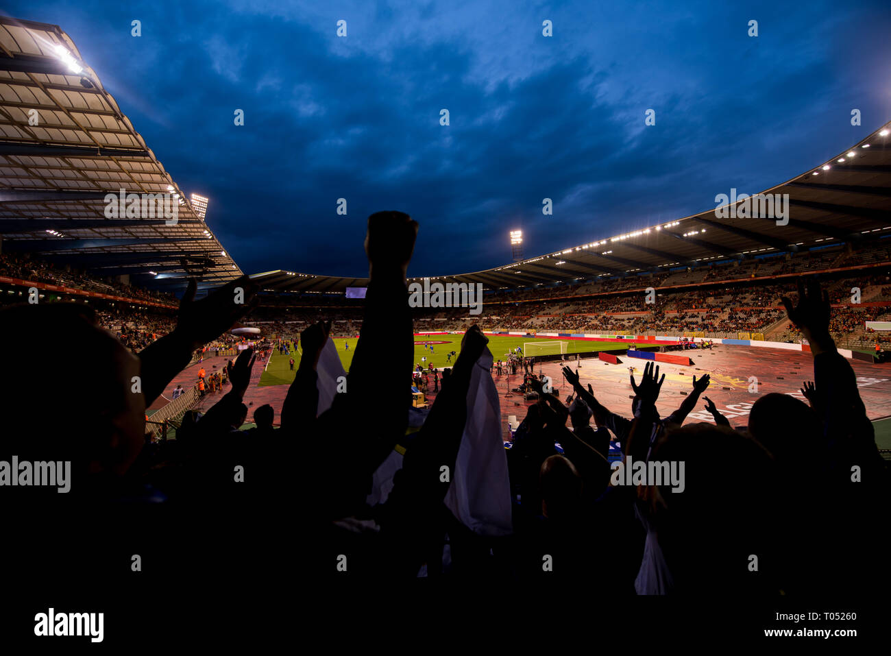 group of football, soccer fans support their favorite sports team and ...