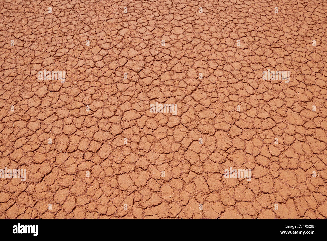 Crazed dried mud back ground pattern Stock Photo - Alamy