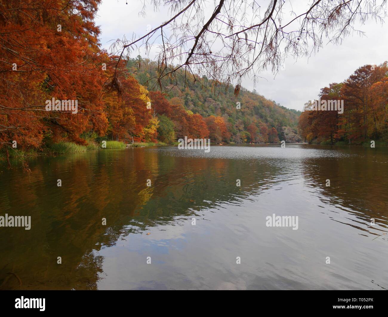 Red river oklahoma forest hi-res stock photography and images - Alamy