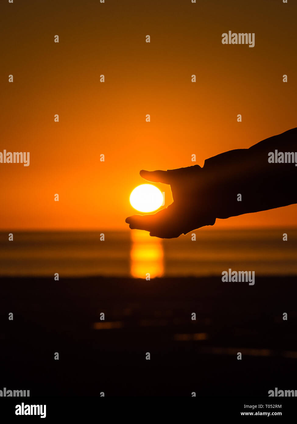 Hand catching the sun during the sunset, detail of the hand and the sun ...