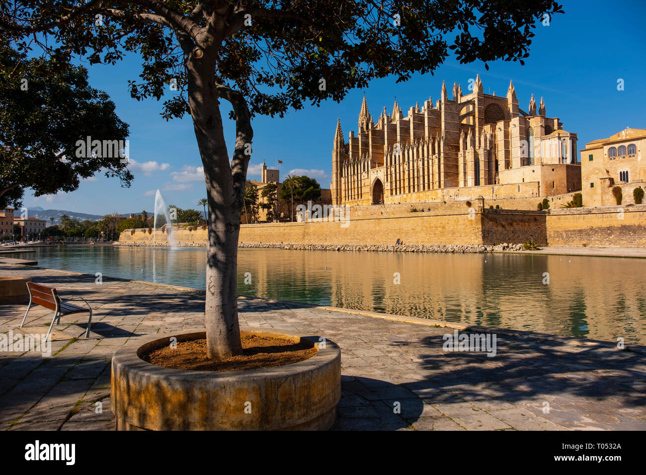 Majorca Palma Cathedral High Resolution Stock Photography and Images ...