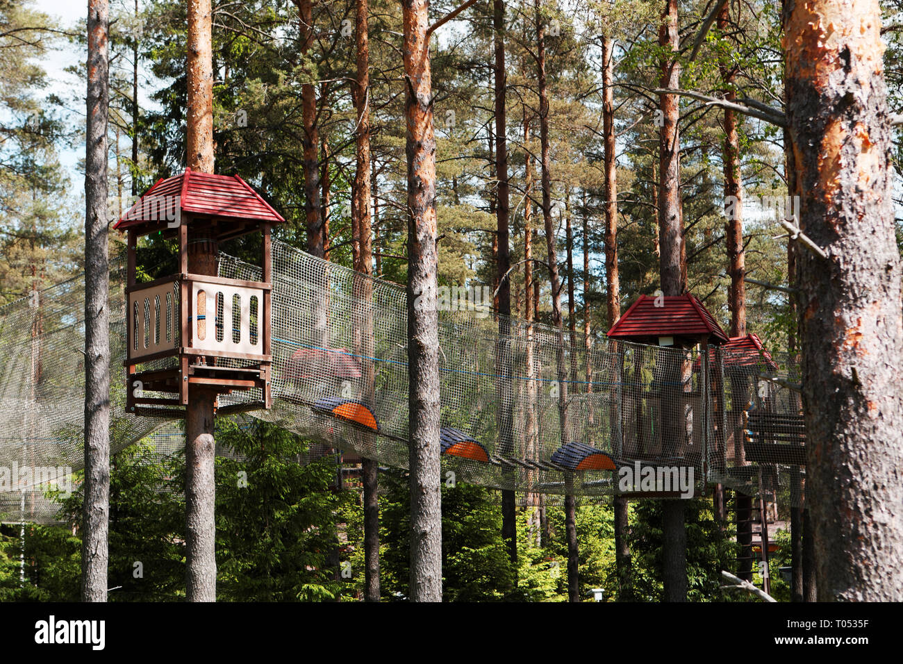 Adventure tree park Stock Photo - Alamy