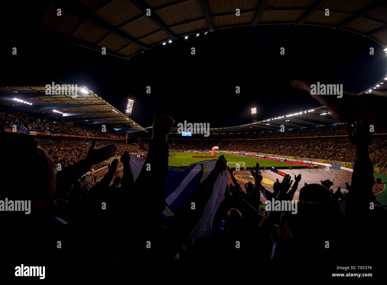 group of football, soccer fans support their favorite sports team and ...